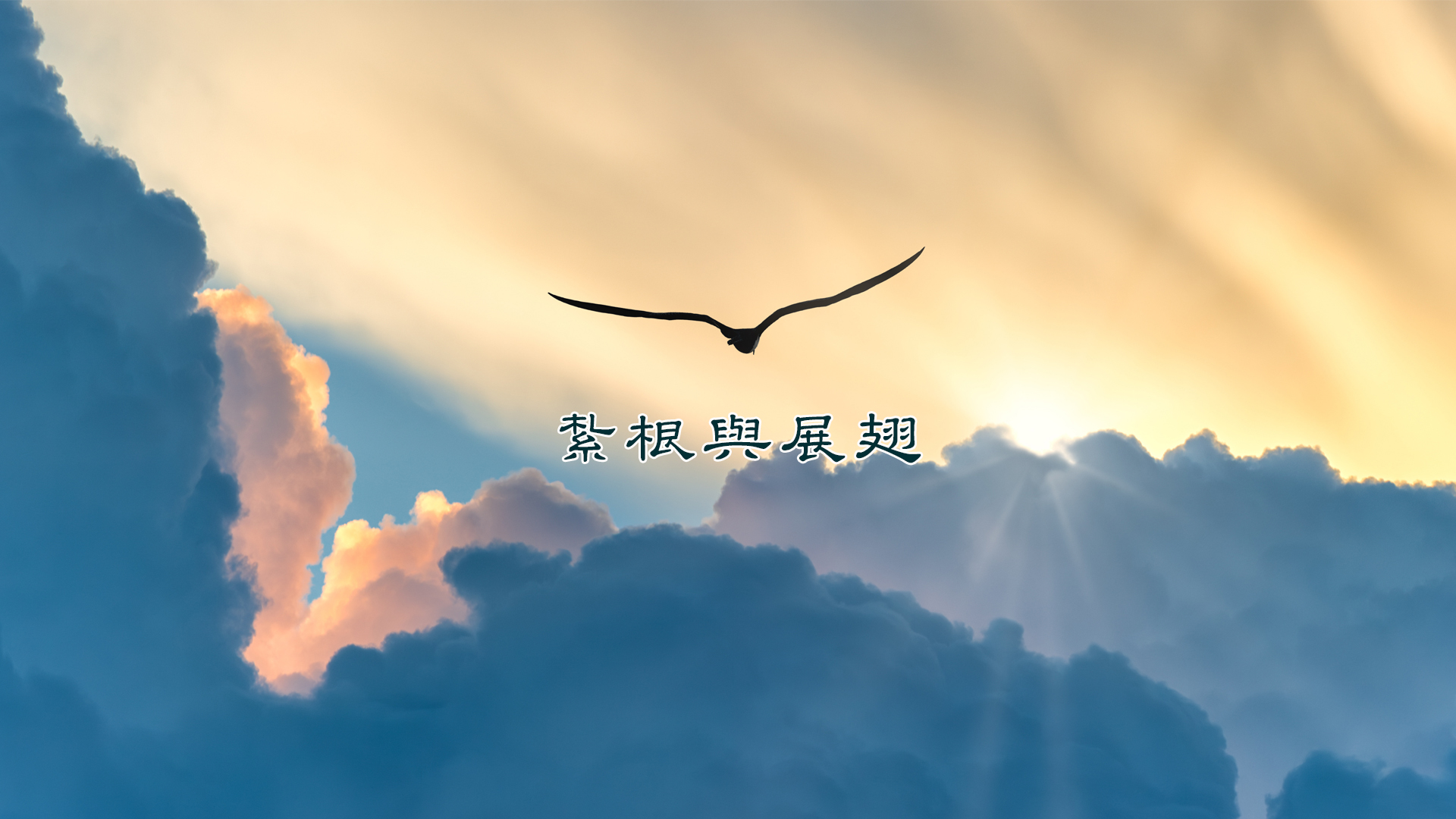 紥根與展翅 - 若歌教會主日學